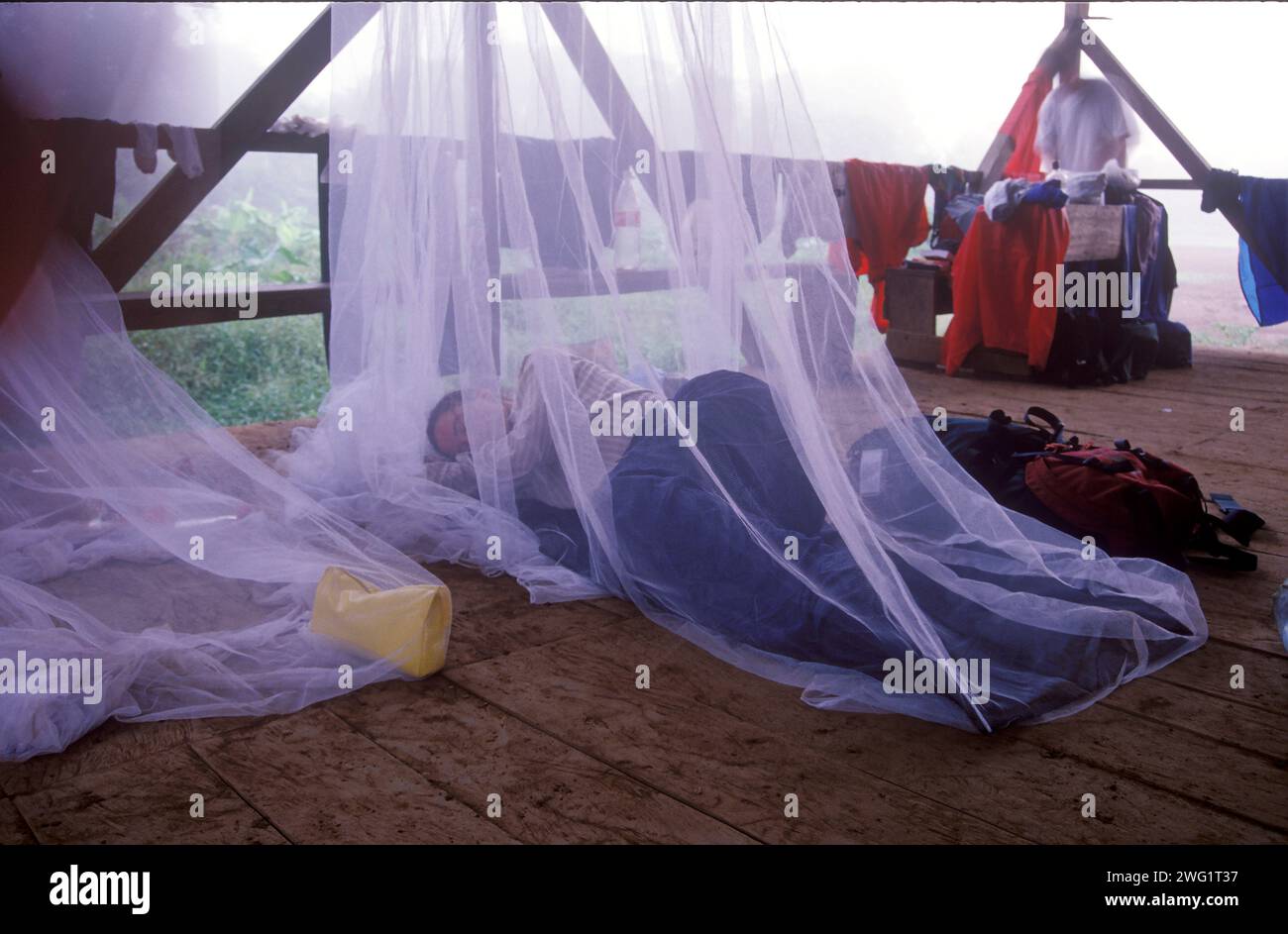 Sleeping outdoors under mosquito net, Amazonas Stock Photo - Alamy