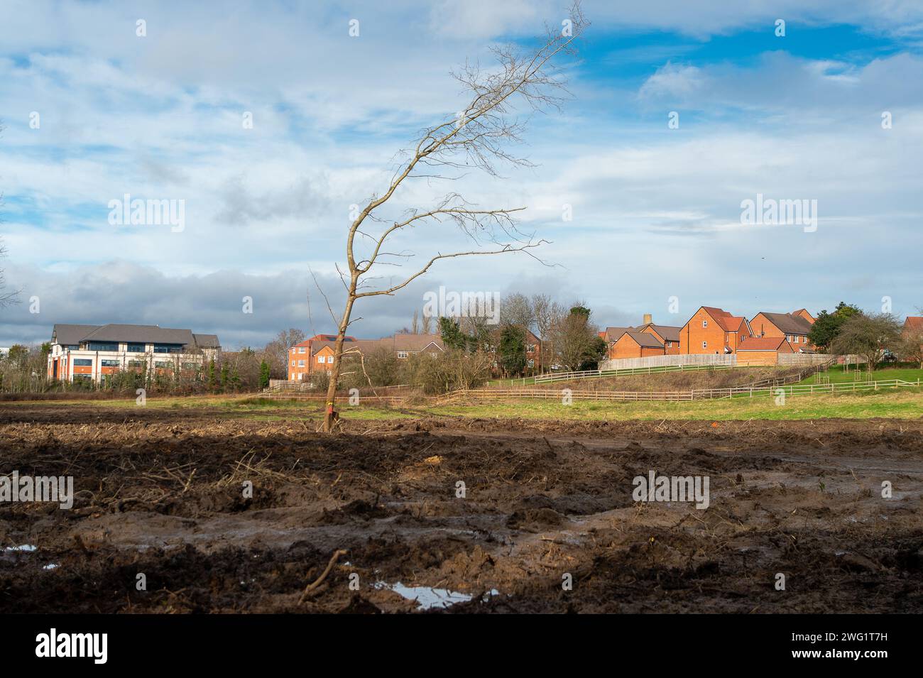 Save the happyman tree hi-res stock photography and images - Alamy