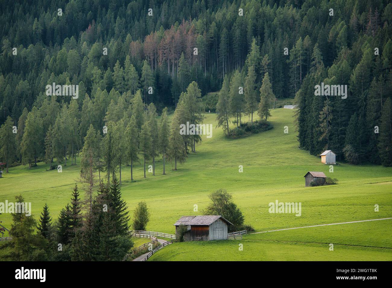 Two rustic wooden cabins nestled in a lush green pasture with scenic ...