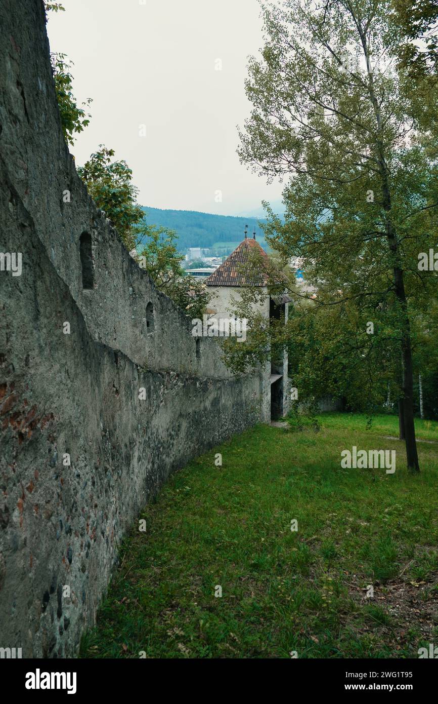 Adjacent branches hi-res stock photography and images - Alamy