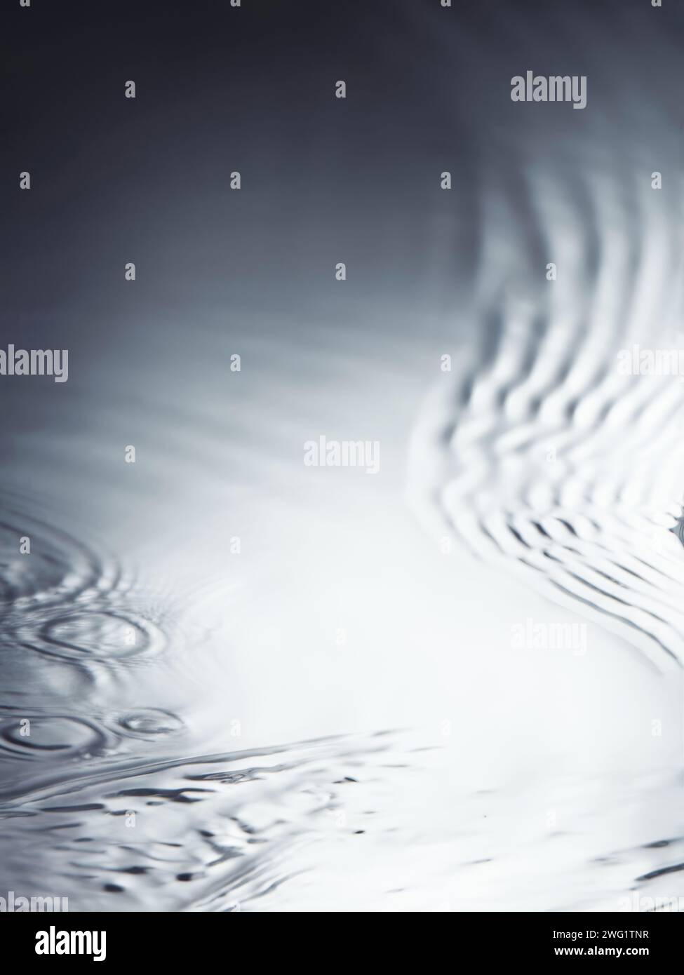 Product presentation backdrops, background for product shots, product ...