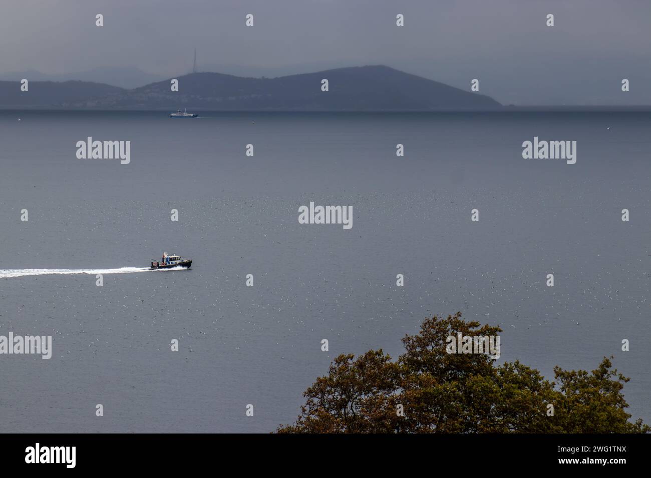 Goalpursuit hi-res stock photography and images - Alamy