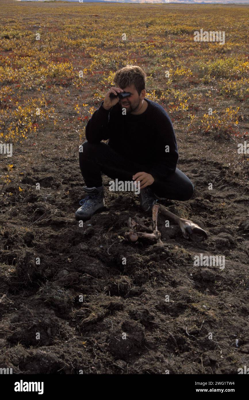 photographer Steven Kazlowski with caribou bones looks for wildlife on ...