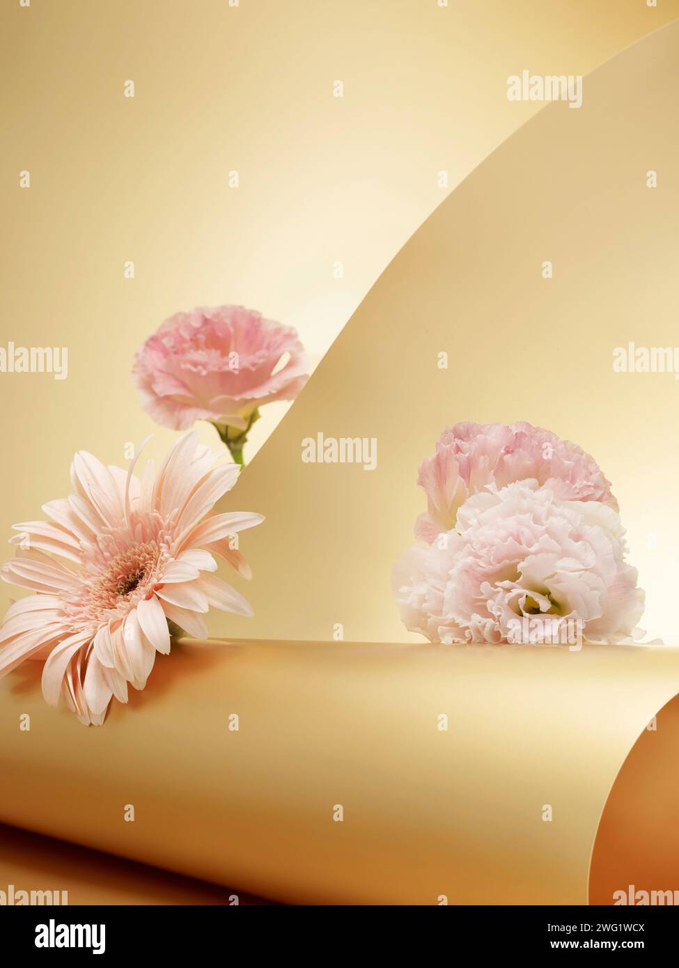 Product presentation backdrops, background for product shots, product ...