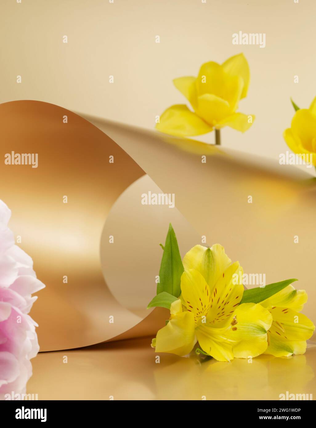 Product presentation backdrops, background for product shots, product ...