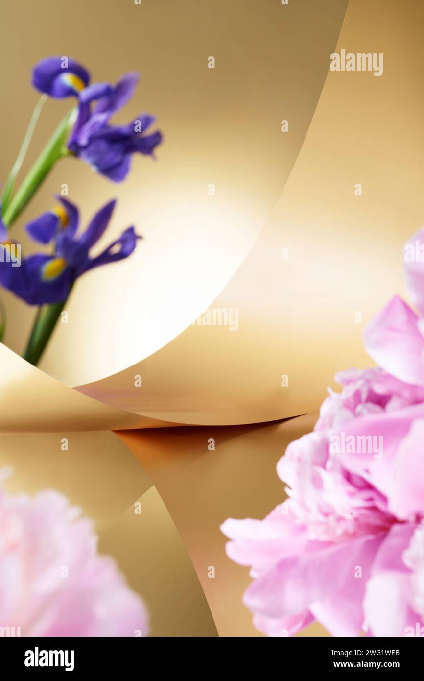 Product presentation backdrops, background for product shots, product ...