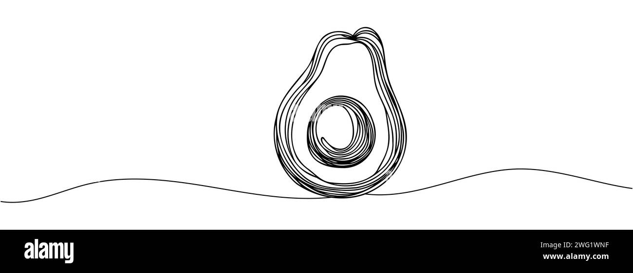 Continuous line of avocado. Vector illustration on white background ...