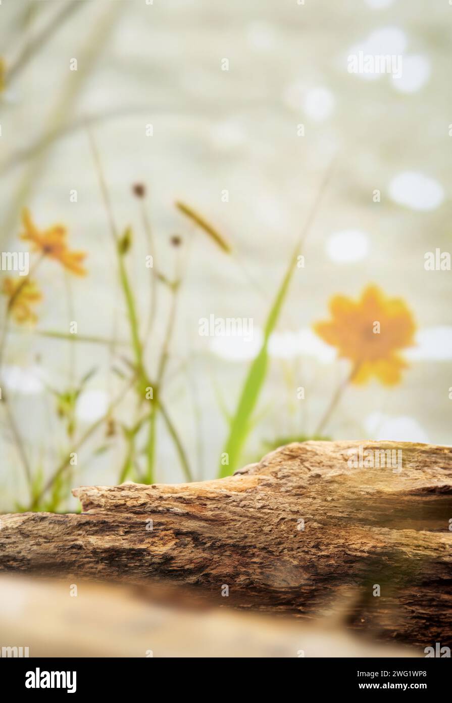 Product presentation backdrops, background for product shots, product ...