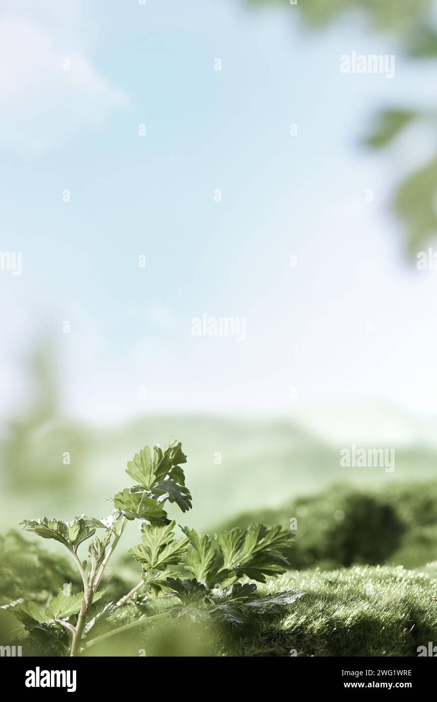 Product presentation backdrops, background for product shots, product ...