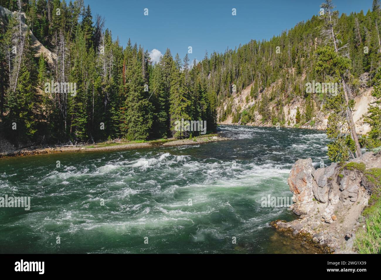 The Yellowstone River flowing past the Lower Falls observation point ...