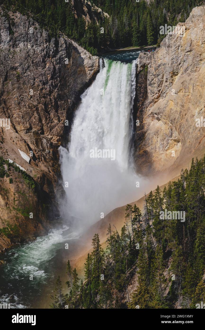 View of the Lower Falls of the Yellowstone River in Yellowstone ...