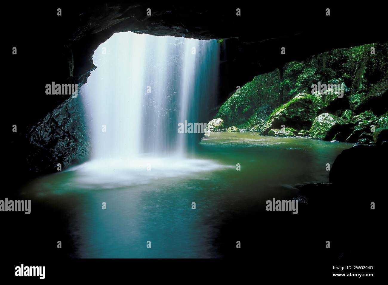 Gondwana rainforests, australia hi-res stock photography and images - Alamy