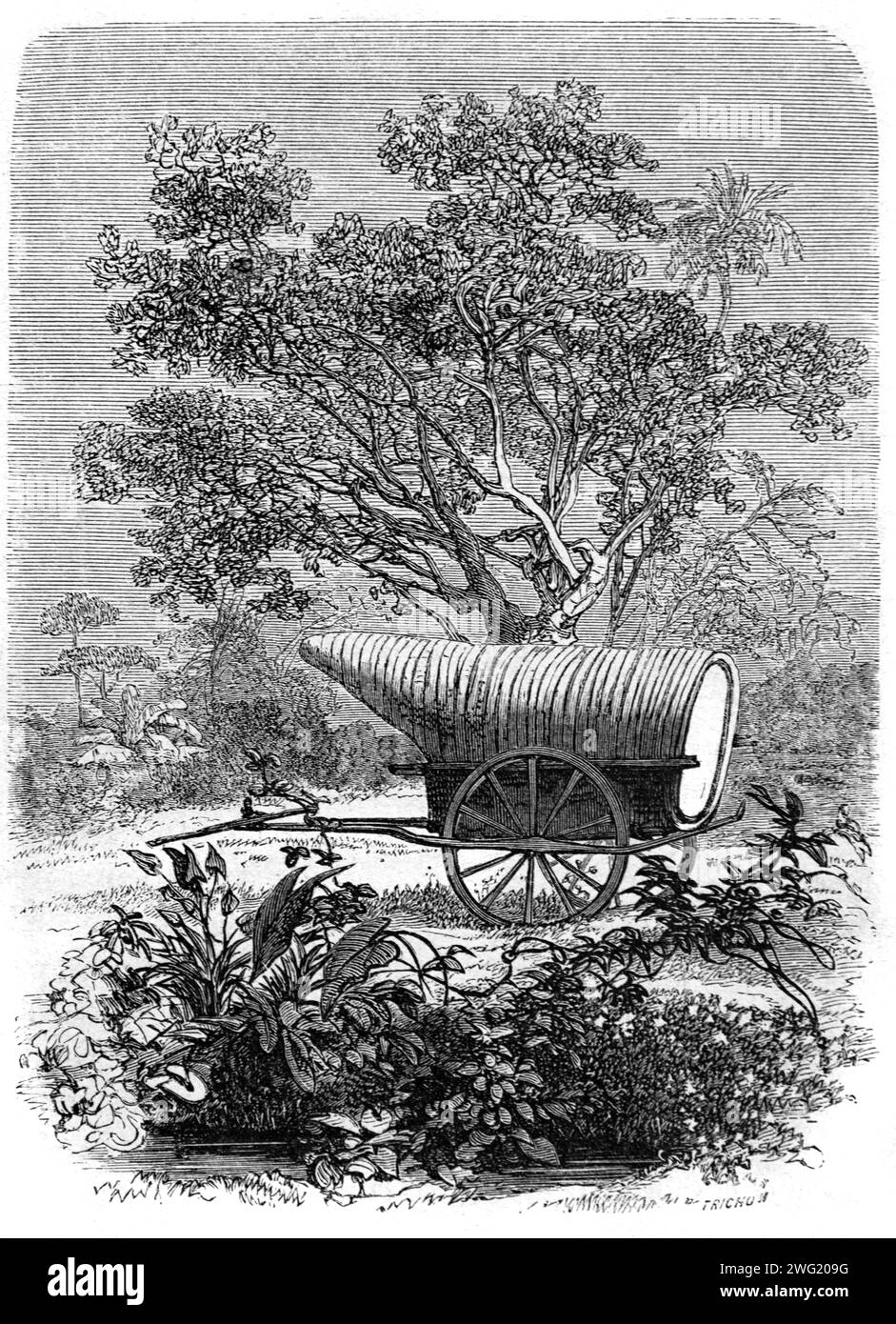 Beehive cart Black and White Stock Photos & Images - Alamy