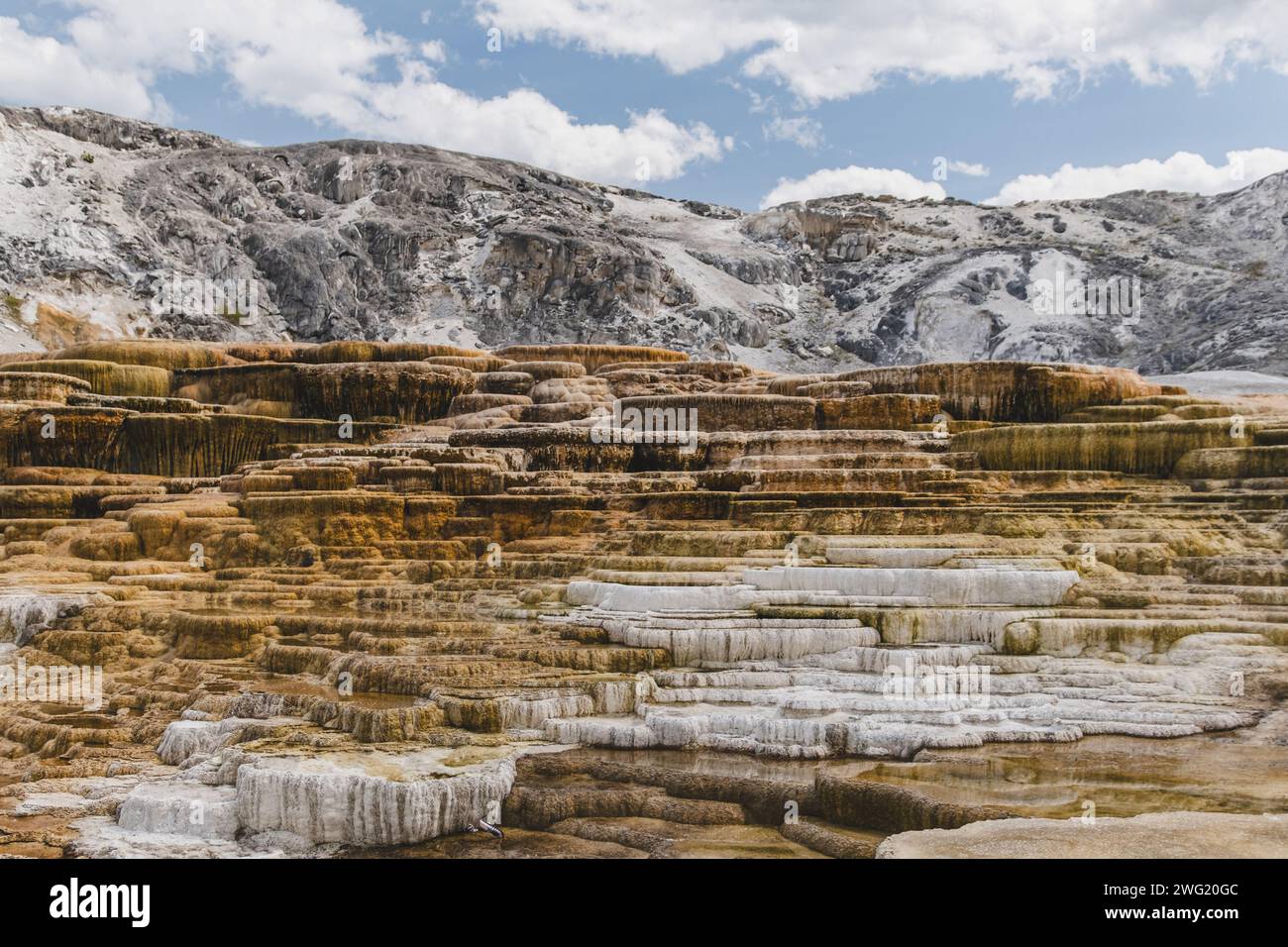 Travertine terraces at the Mammoth Hot Springs in Yellowstone National ...