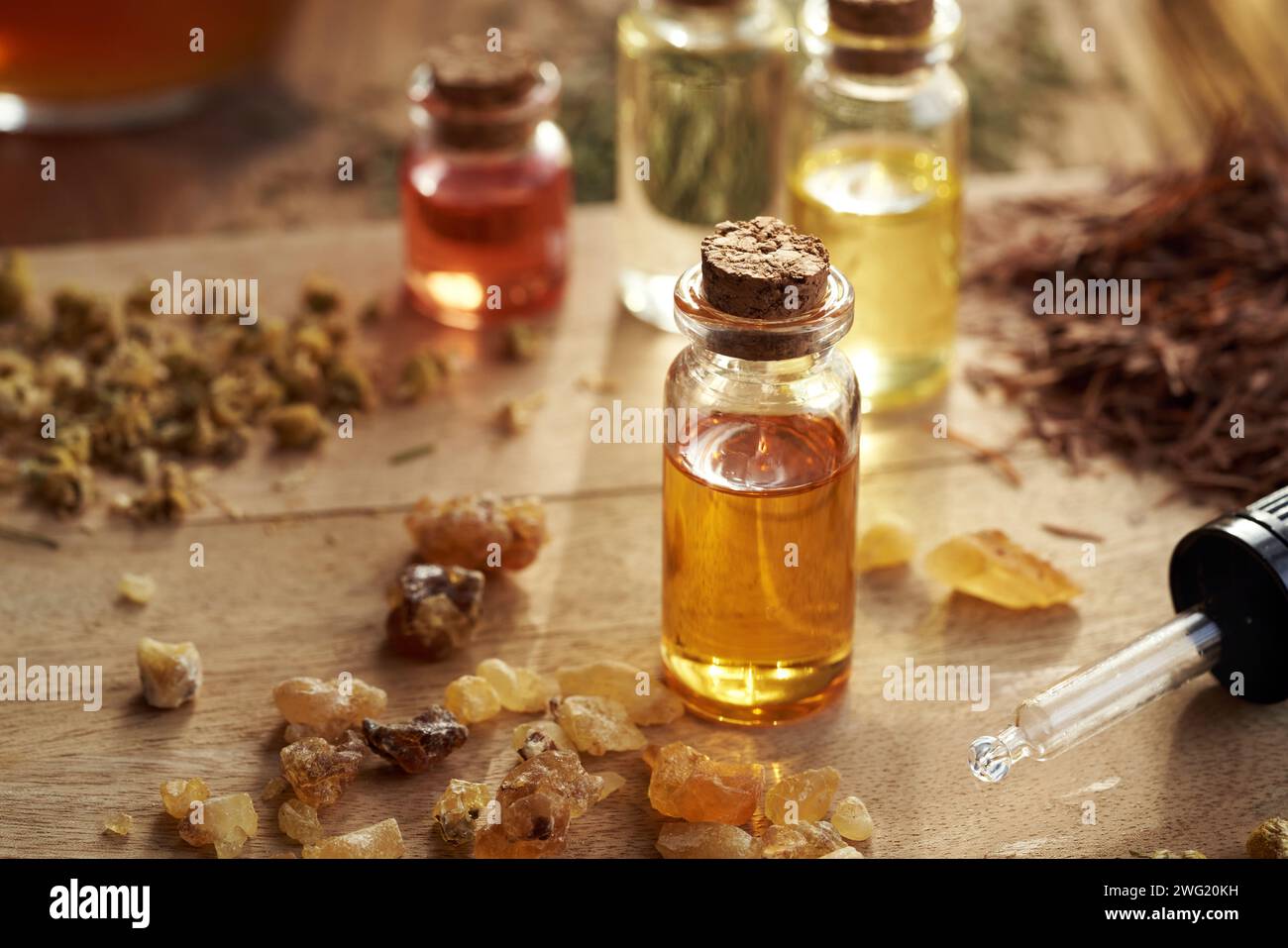 Bottles of essential oils with frankincense resin and dried herbs Stock ...