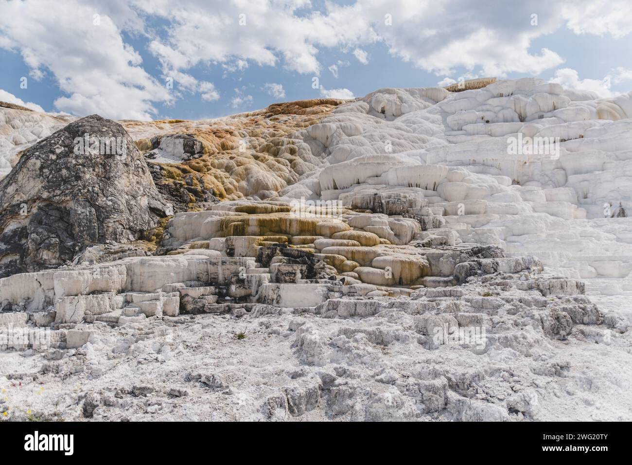 Travertine terraces at the Mammoth Hot Springs in Yellowstone National ...