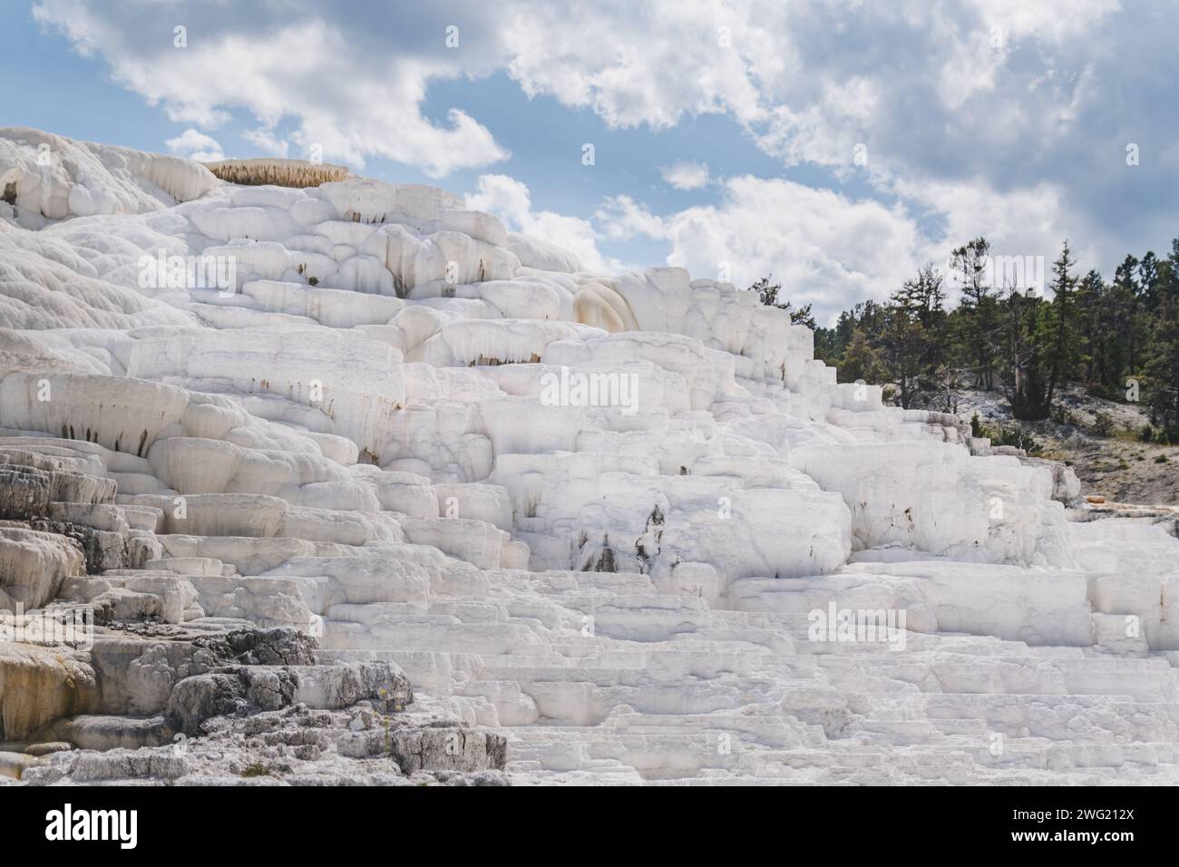 Travertine terraces at the Mammoth Hot Springs in Yellowstone National ...