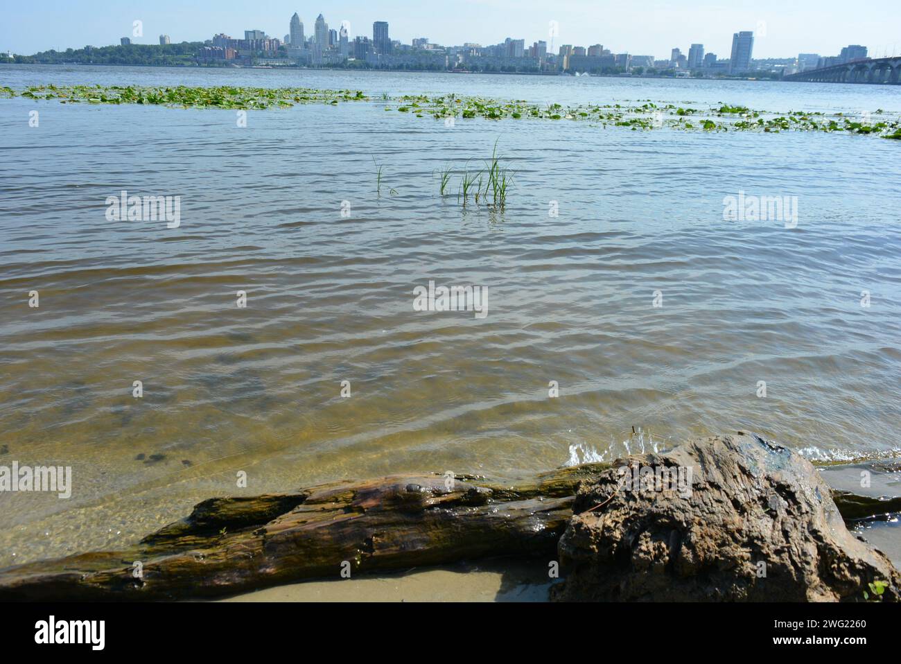 City Dnipro, Ukraine landscape of the left bank with trees, a river ...