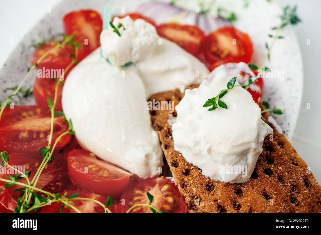 Italian cheese burrata, tomatoes on bread rolls close up. A layer of ...