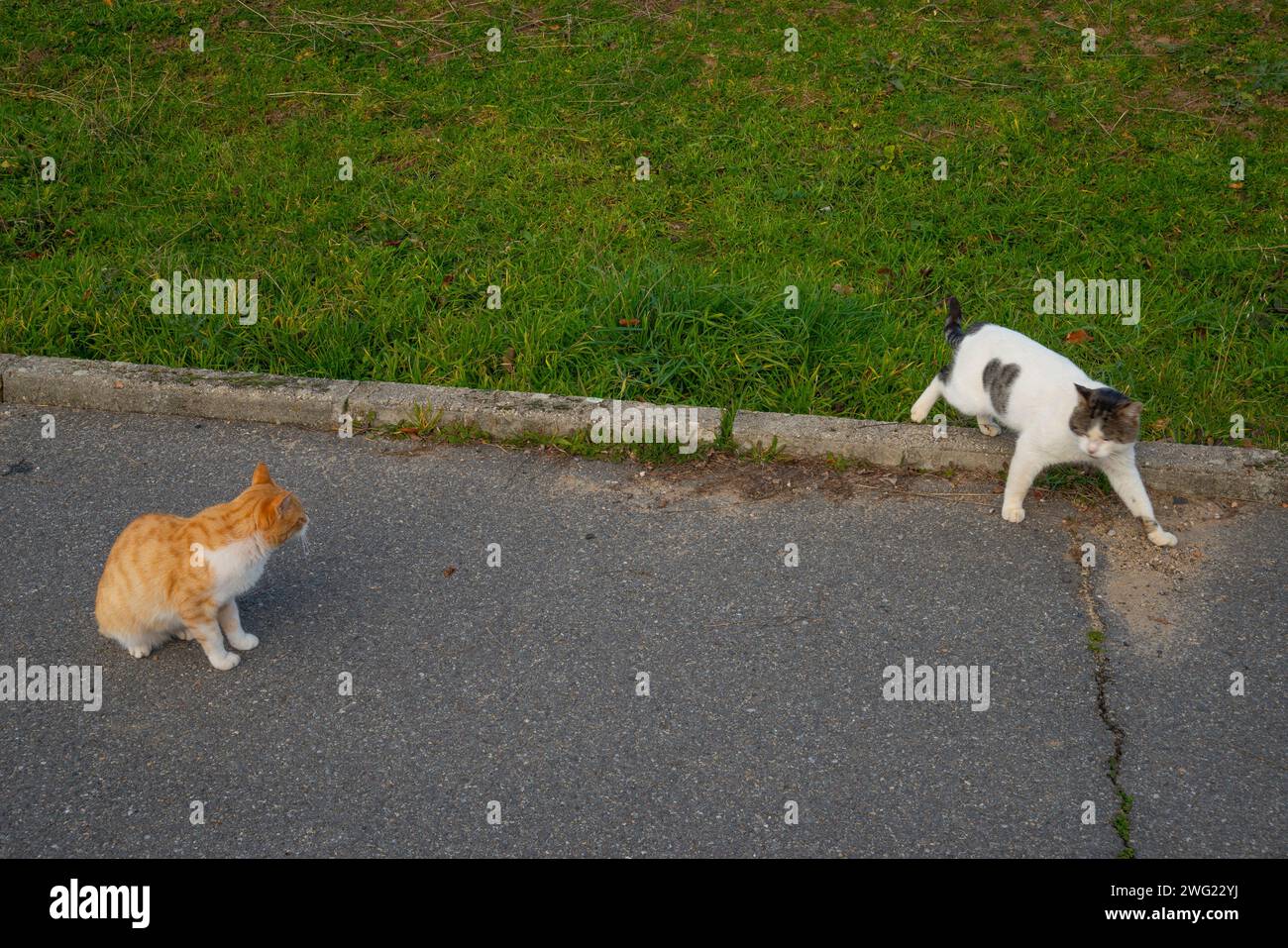 Amenazante hi-res stock photography and images - Alamy