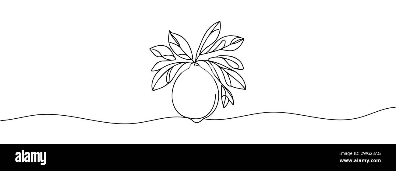 Continuous one line drawing. Lemon lime fruits Stock Vector Image & Art ... Continuous one line drawing. Lemon lime fruits Stock Vector Image & Art ...