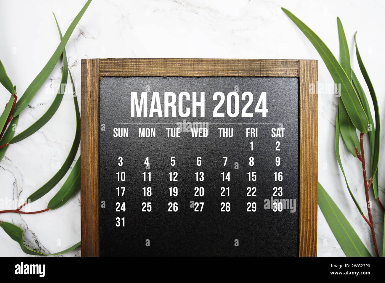 March 2024 monthly calendar with green leaf decoration on marble ...