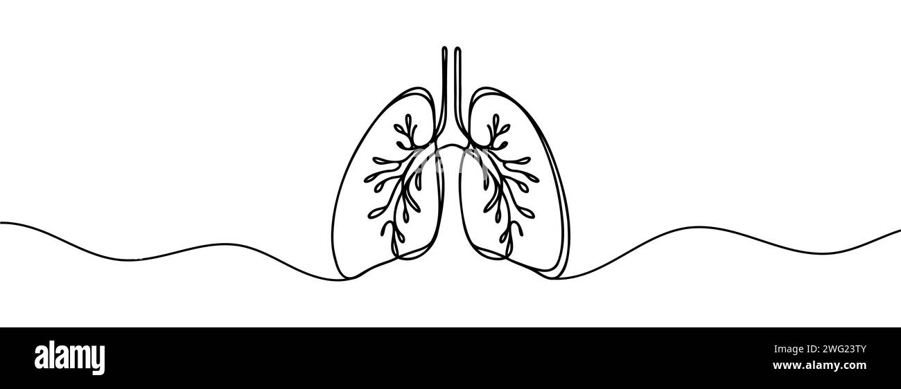 One continuous drawing of the anatomical organ of the human lungs Stock ...