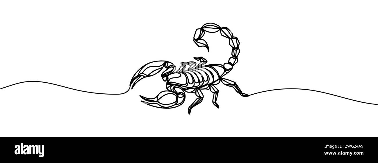 scorpion one line drawing, sketch, isolated vector Stock Vector Image ...