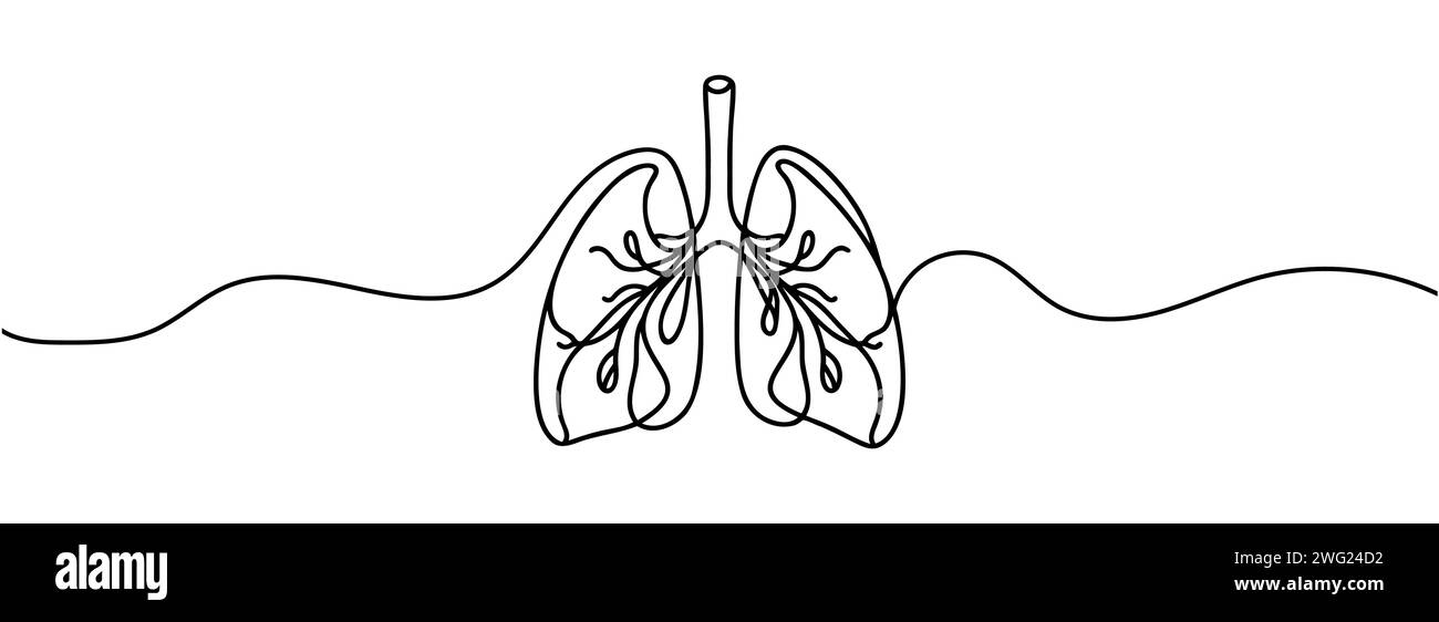 One continuous drawing of the anatomical organ of the human lungs Stock ...