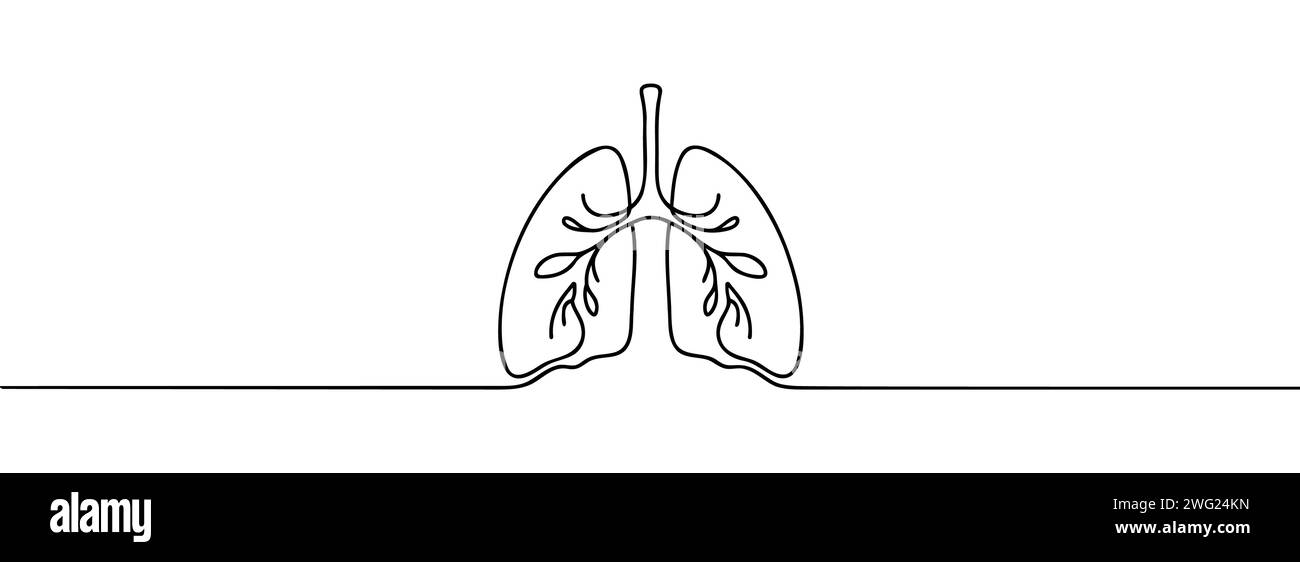 One continuous drawing of the anatomical organ of the human lungs Stock ...