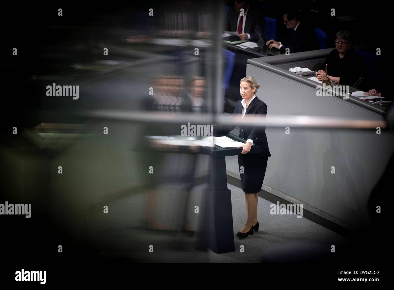 Alice Weidel - Bundestag DEU, Deutschland, Germany, Berlin, 31.01.2024 ...