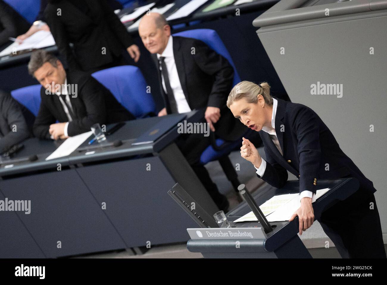 Politics politics politician politician german bundestag speech f hi ...