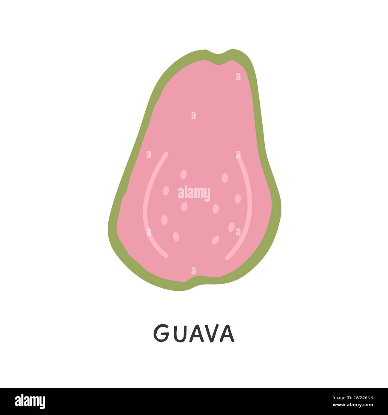 Half Cut Ripe Pink Guava fruit isolated on white background. Tasty ...