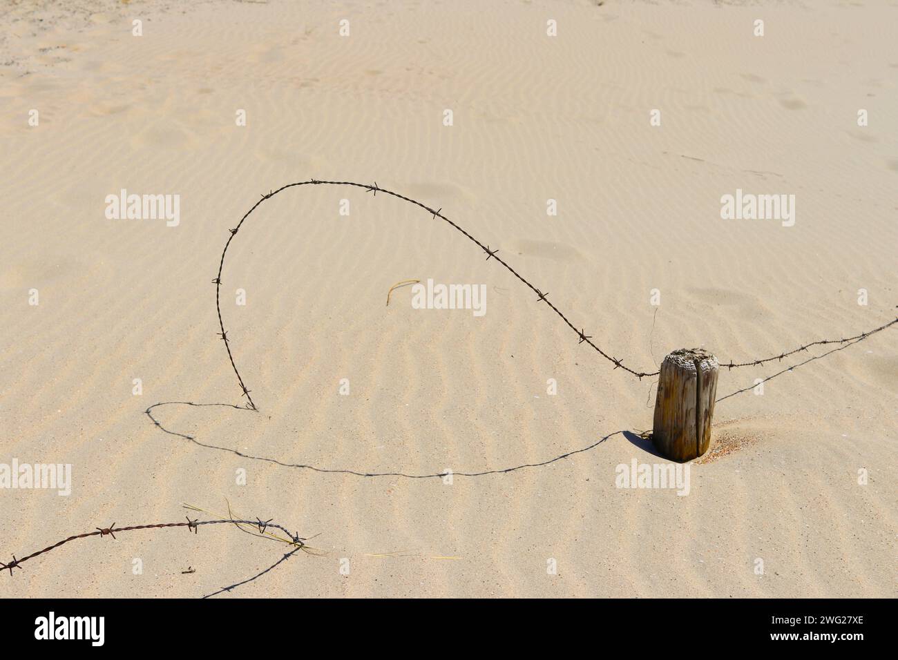 Barbed wire buried in sand on beach Stock Photo - Alamy