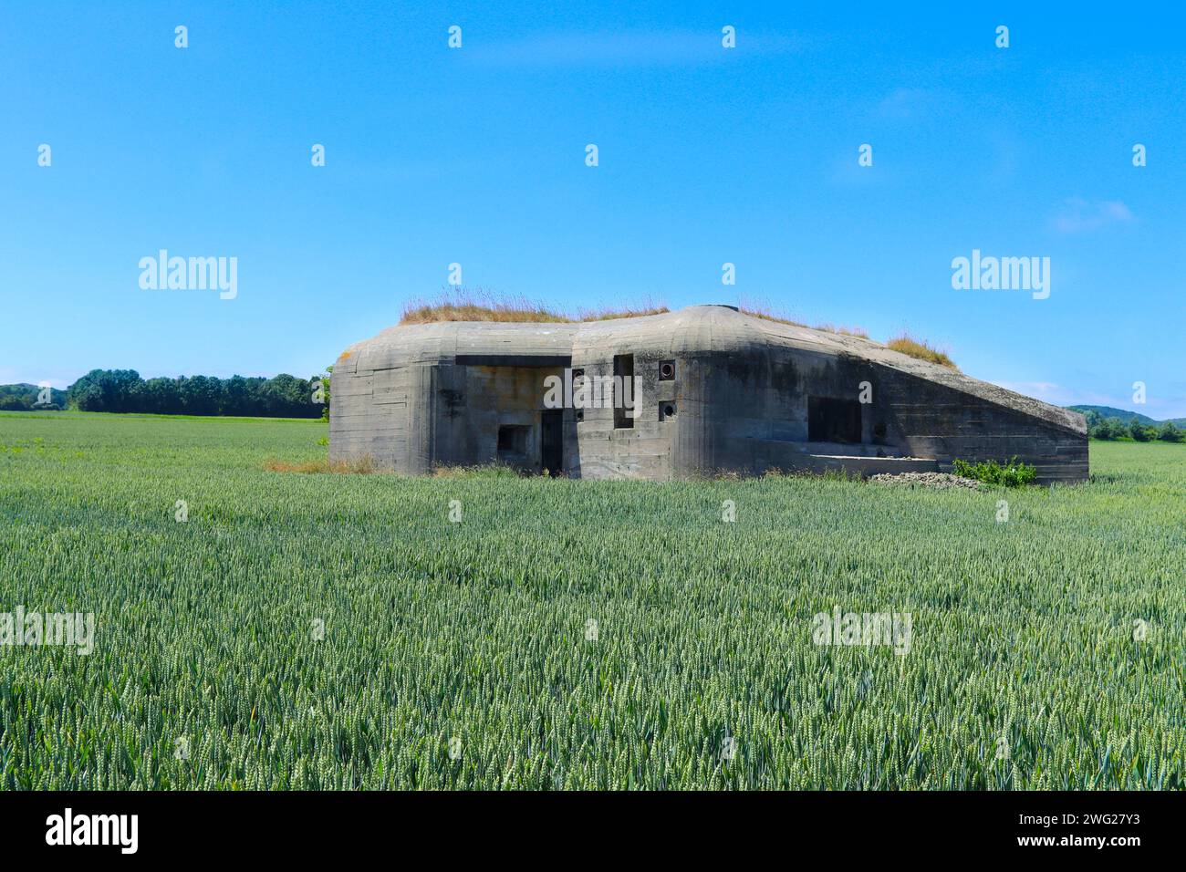 Concrete wartime bunker on field in the Netherlands, Europe Stock Photo ...
