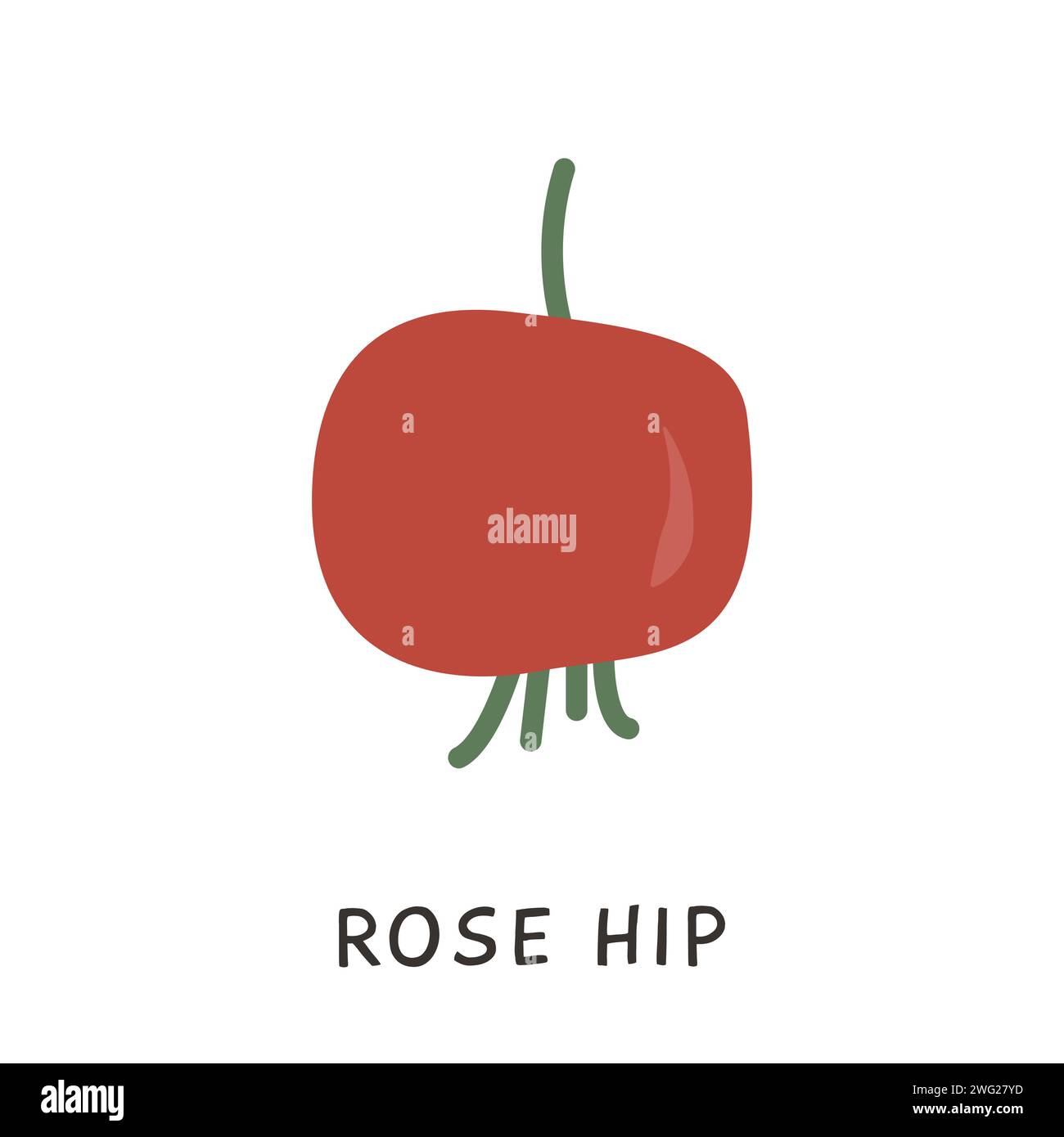 Rose hip doodle element. Icon of rosehip healthy medical herb for ...