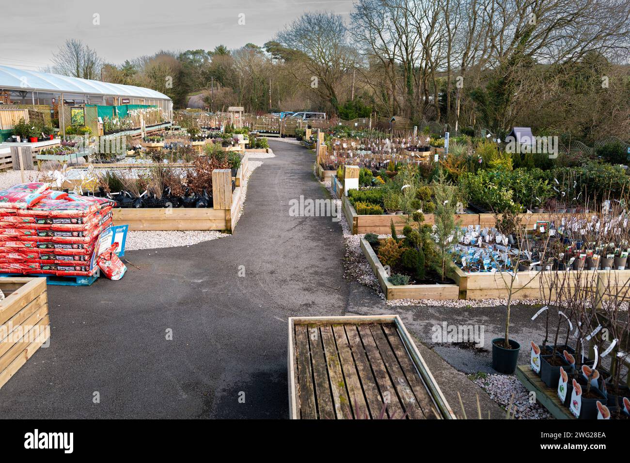 Plants and flora for sale at Otter garden centre in Paignton, Devon ...