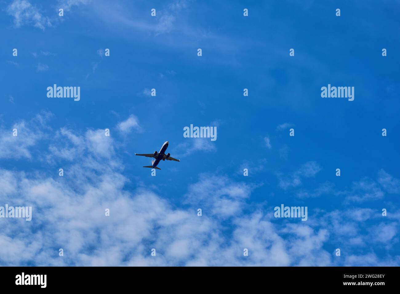 Airplane in flight in the blue sky above palm trees Spain Fuerteventura ...