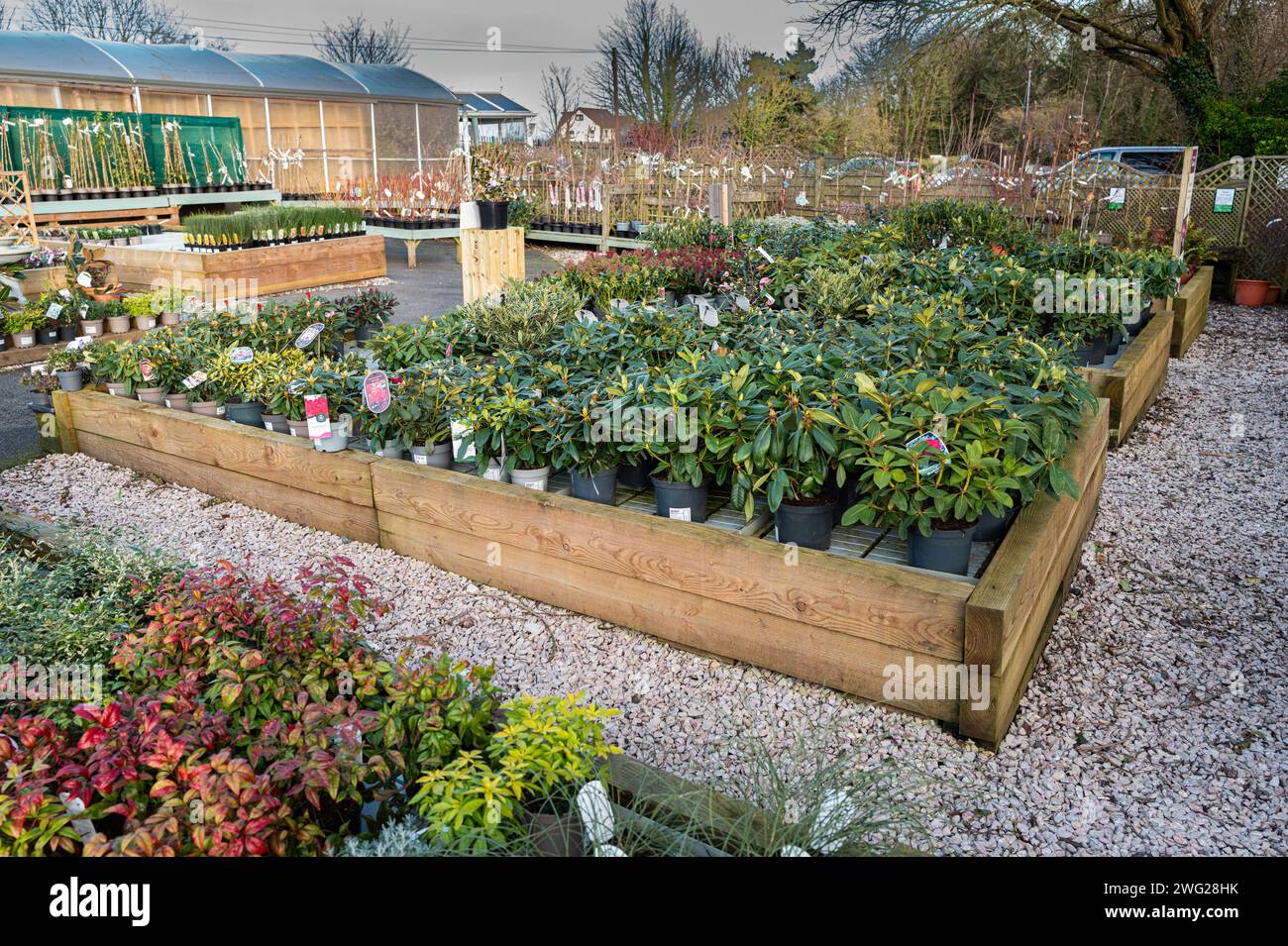 Plants and flora for sale at Otter garden centre in Paignton, Devon ...