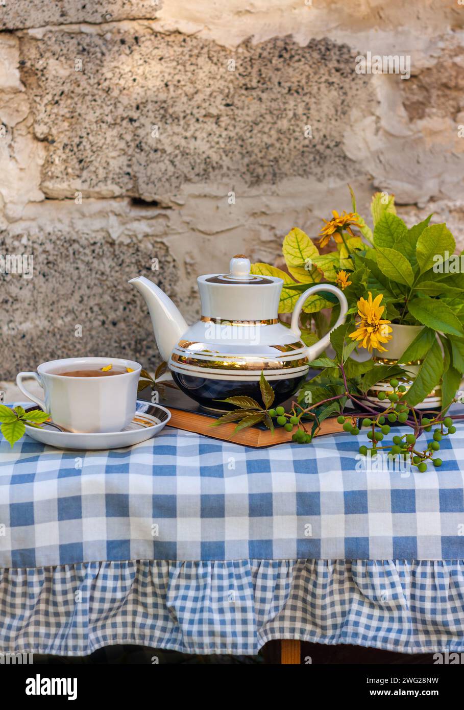 Book, autumn leaves flowers, tea cup on wooden bench with green wild ...