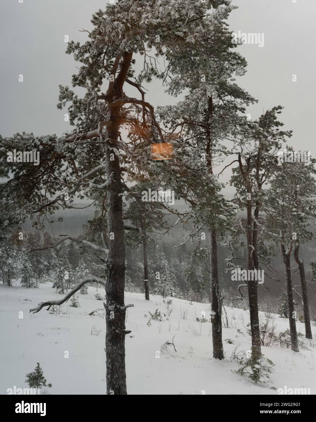 Paltamo hi-res stock photography and images - Alamy