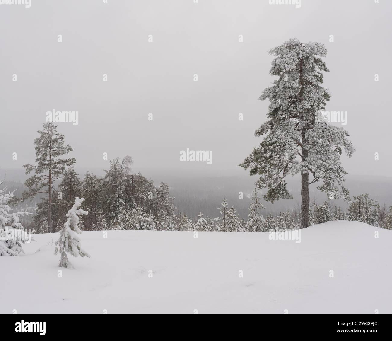 Paltamo hi-res stock photography and images - Alamy