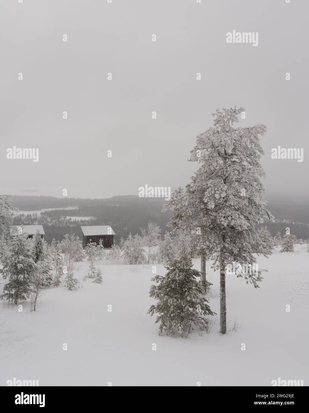 Paltamo hi-res stock photography and images - Alamy
