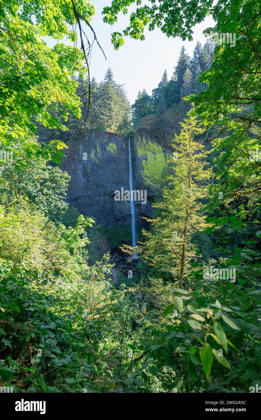 A scenic view of Latourell Falls which is along the Columbia River ...