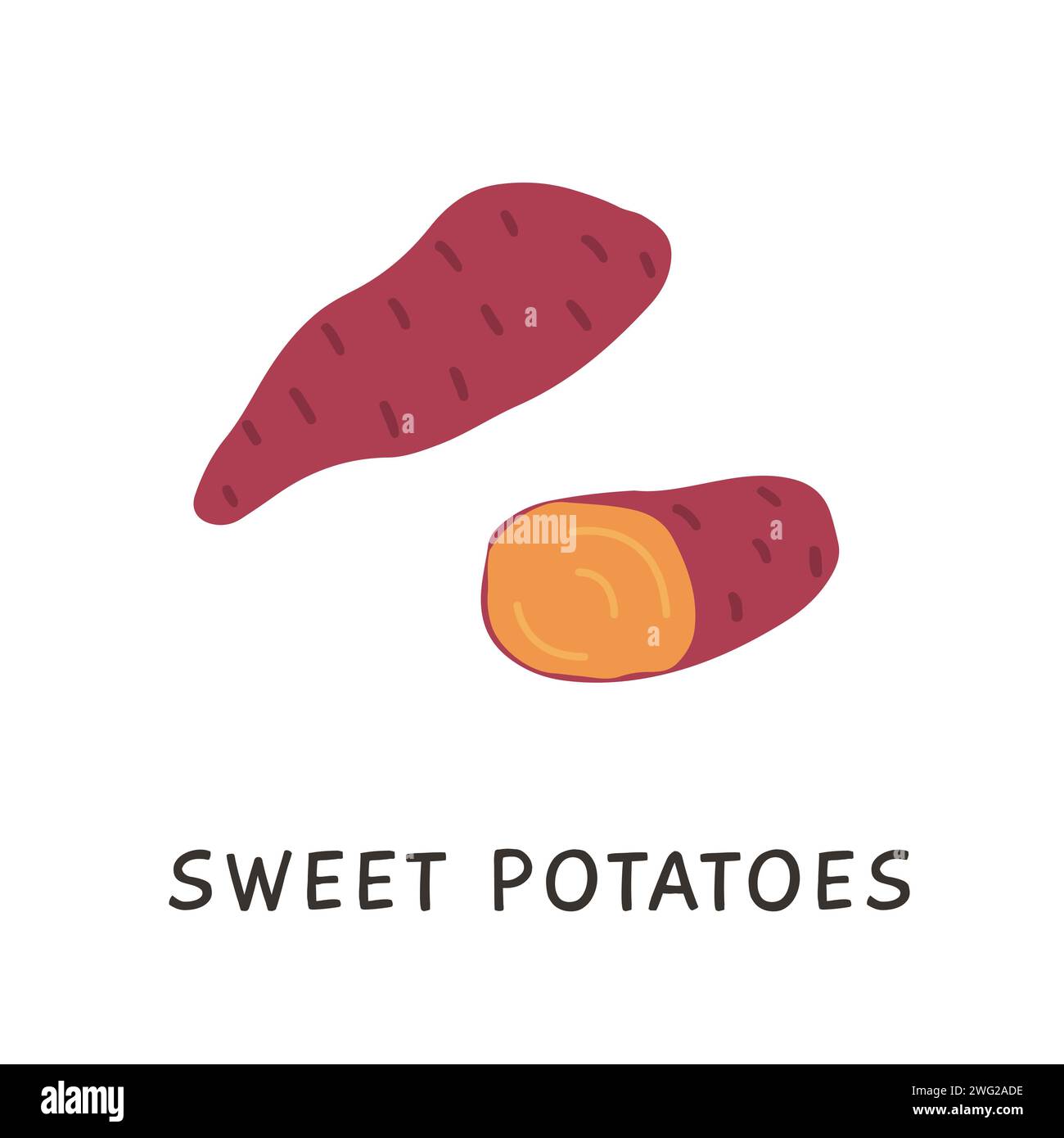 Hand drawn doodle icon of potato tubers. Gathered tuberous food crops ...