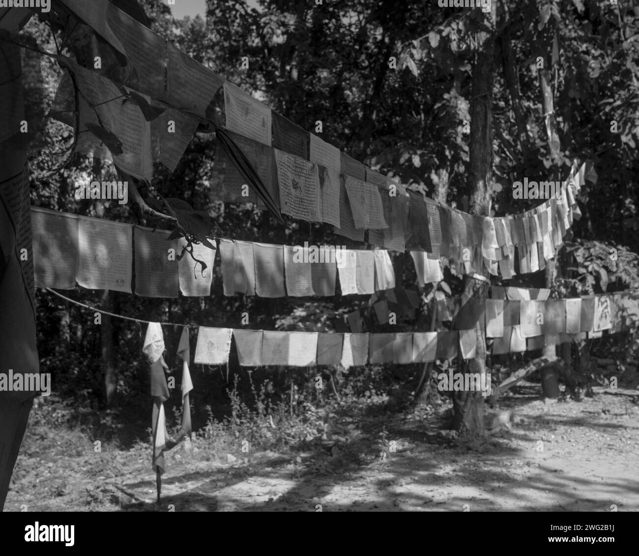Prayer flags at Kakrebihar, a Shikhara Hindu and Buddhist temple in ...