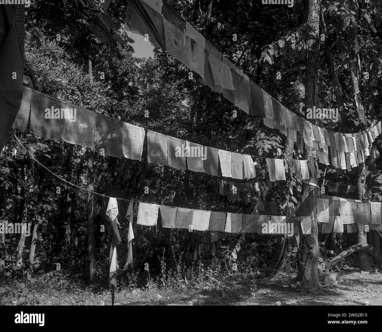 Prayer flags at Kakrebihar, a Shikhara Hindu and Buddhist temple in ...