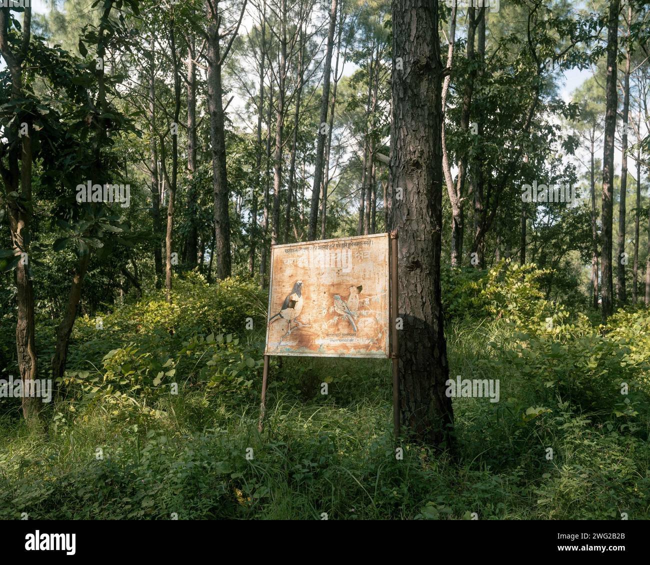 Ruster hi-res stock photography and images - Alamy