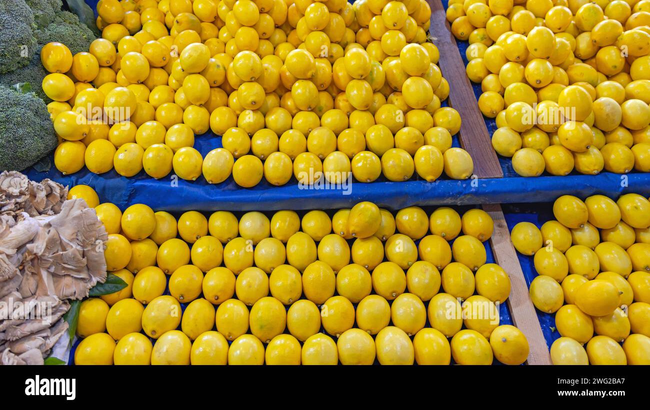 Lemons citrus fruits hi-res stock photography and images - Alamy