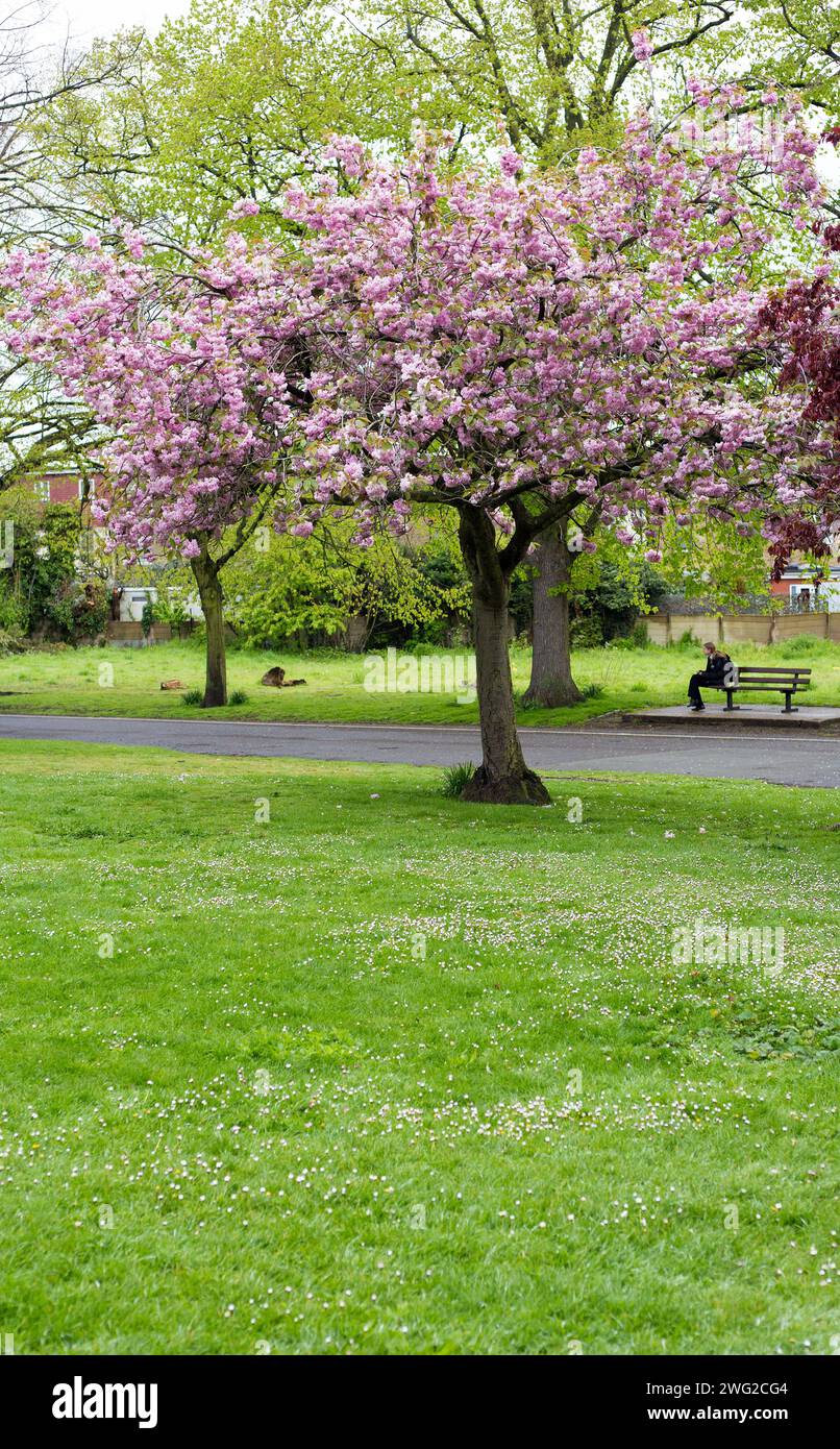 Ilford, east London Stock Photo - Alamy
